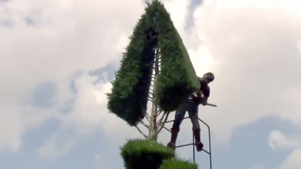 'A Man Named Pearl': Pearl Fryar's topiary garden